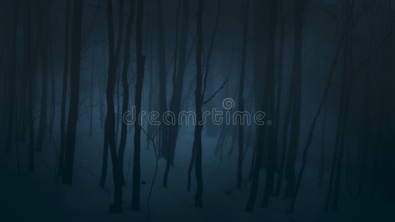 Dark Blue Forest. Scary Image Stock Image - Image of environment ...