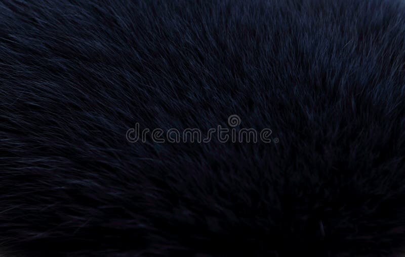 Dark blue fur stock image. Image of painted, winter, color - 47562571
