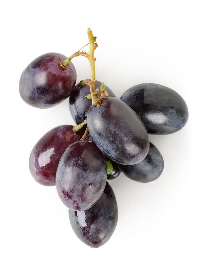 Dark blue grapes stock image. Image of ripe, eating, freshness - 26485391