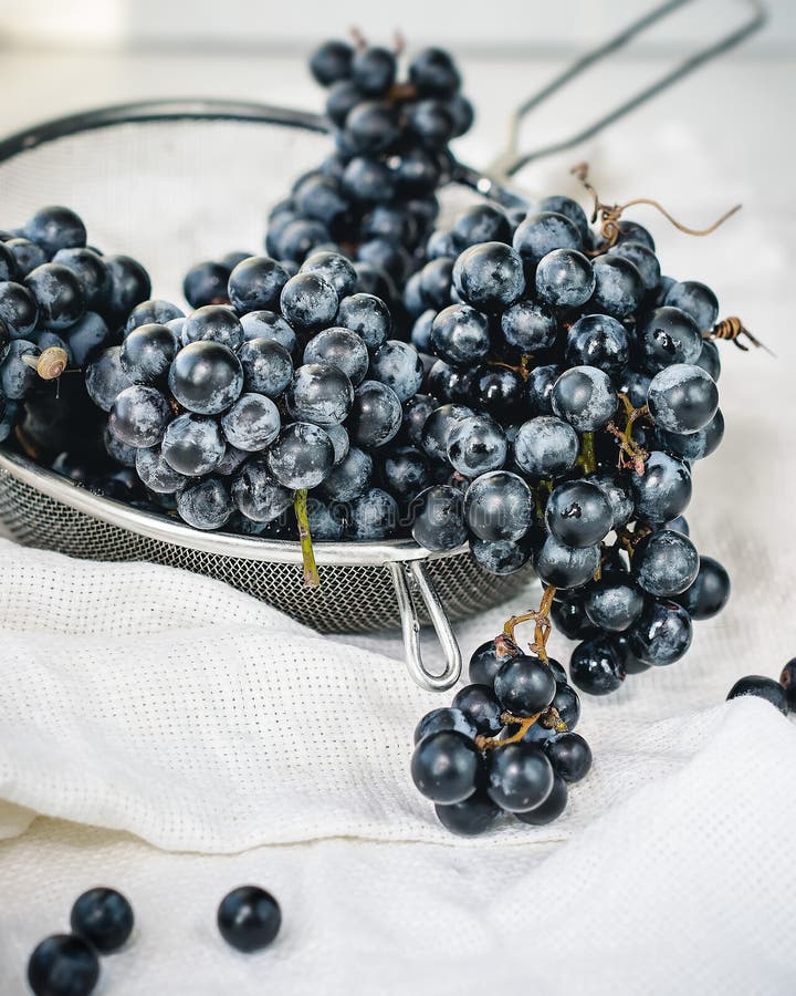 Dark blue grapes stock photo. Image of juicy, grape - 131922242