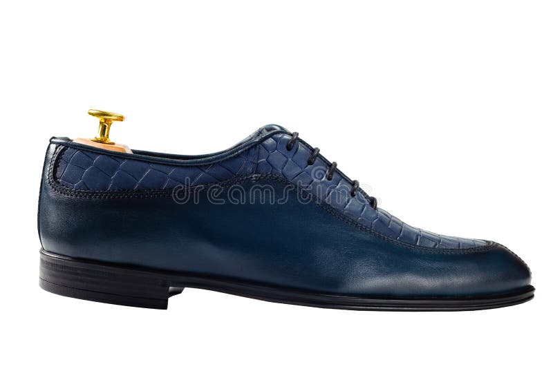 Dark Blue Leather Shoe with Last Block Inside Isolated on White ...