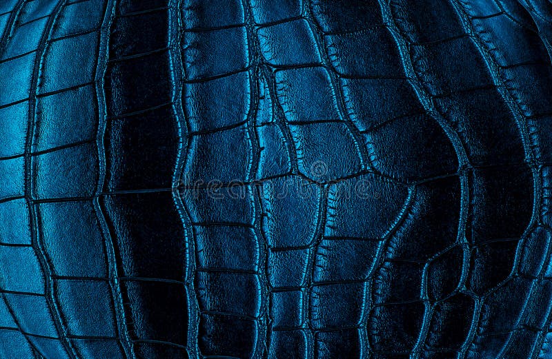 Dark Blue Leather Texture Background Surface. Crocodile Leather or ...