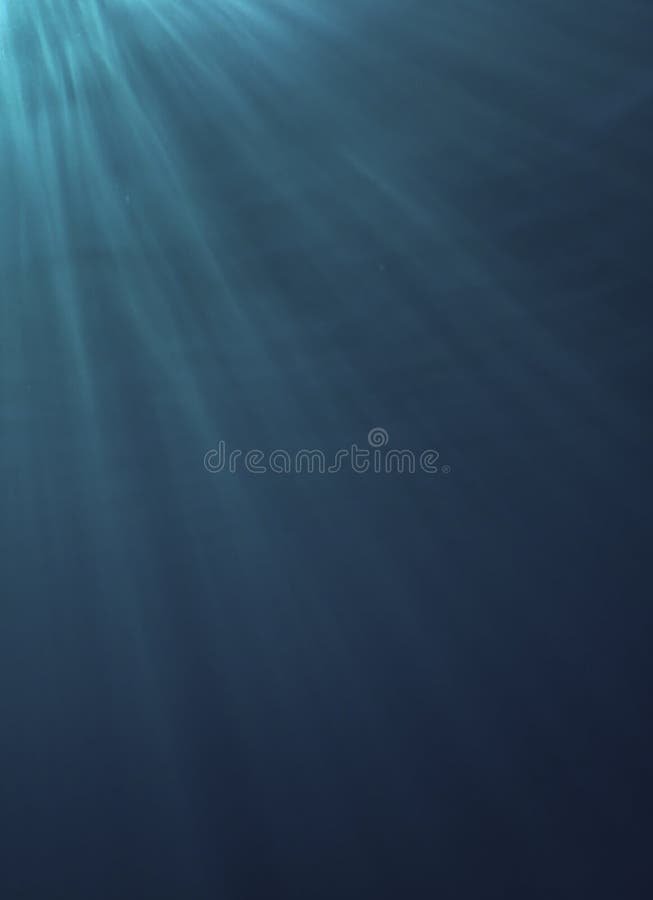 5,440 Diving Ocean Fish Dark Blue Stock Photos - Free & Royalty-Free ...