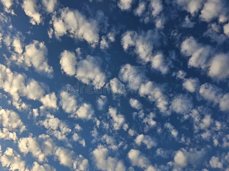 Dark Blue Sky Covered in Lines of White Altocumulus Clouds! Stock Photo ...