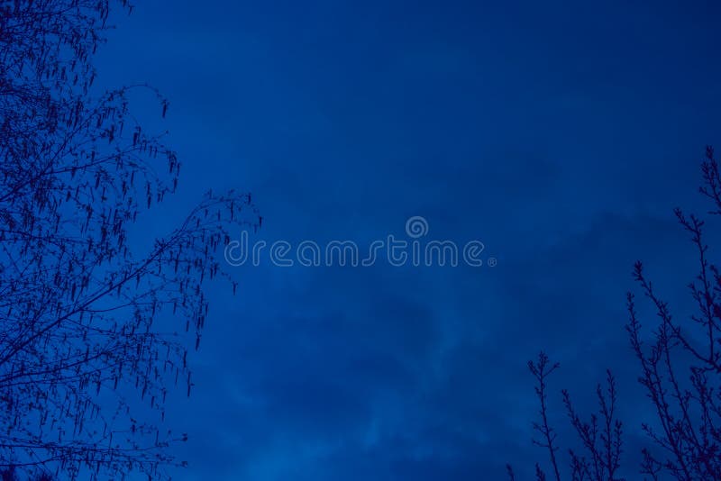 Dark Blue Sky with Tree Branches on Both Sides Stock Photo - Image of ...