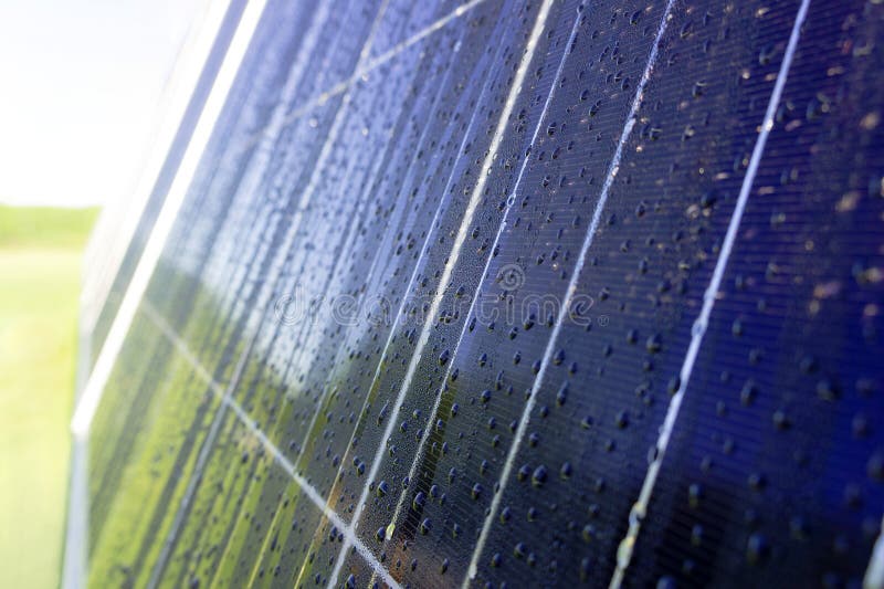 Dark Blue Solar Panel with Dew Drops and Reflection of Green Trees on ...