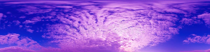 Dark Blue Sunset Sky Panorama with Magenta Cumulus Clouds. Seamless Hdr ...