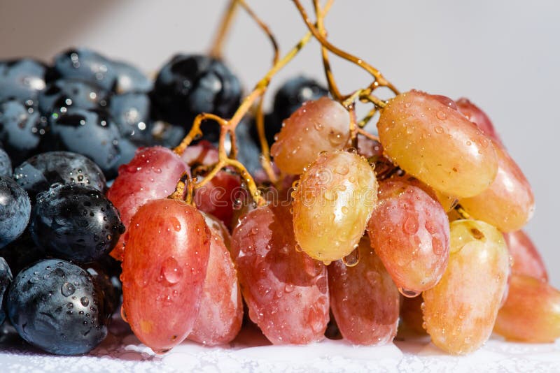 Two Kinds of Grape in Studio Close Up Stock Photo - Image of freshness ...