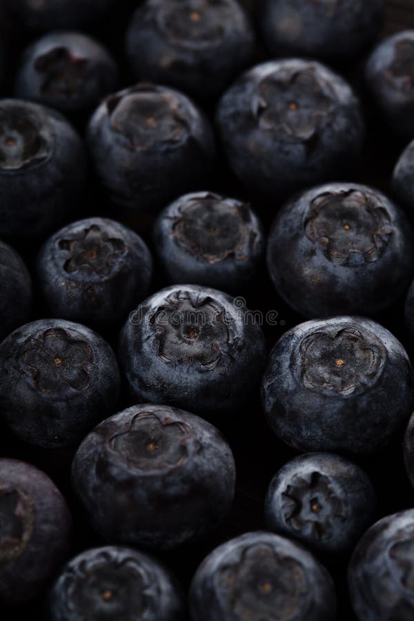 Dark Blueberry Closeup Berry Background Stock Photo - Image of ...