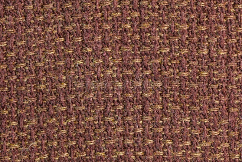 235 Brawn Backdrop Stock Photos - Free & Royalty-Free Stock Photos from ...