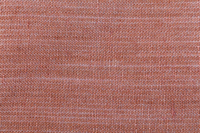 235 Brawn Backdrop Stock Photos - Free & Royalty-Free Stock Photos from ...