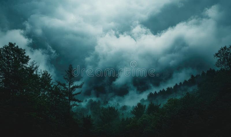 Dark and Brooding Clouds Gathering Over a Dense Forest Stock Photo ...