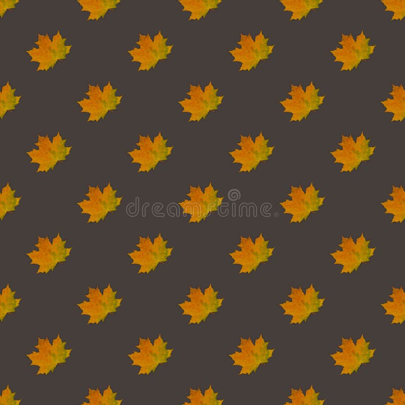 Repeating Maple Leaf Pattern Stock Illustrations – 892 Repeating Maple ...