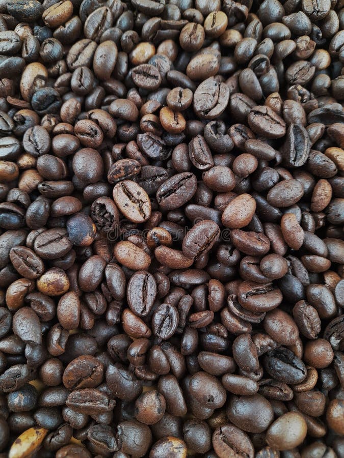 Dark Brown Coffee Beans Mixed with Black Stock Image - Image of ...