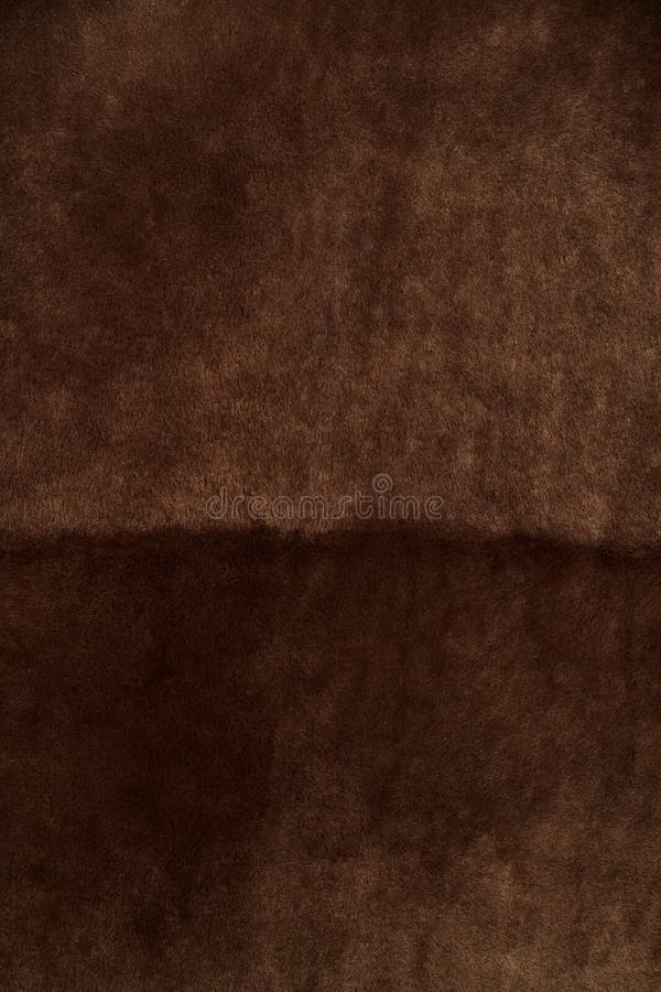 Dark Brown Fur Flattened Surface Stock Photo - Image of decorative ...