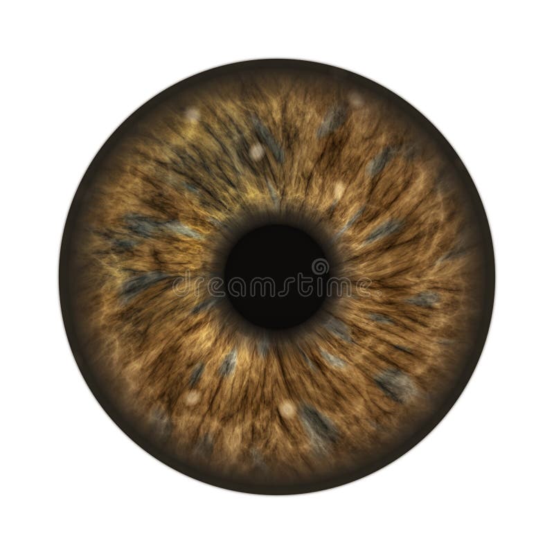 Human Eye Iris Close Up, Colorful Photorealistic Detailed Painting ...