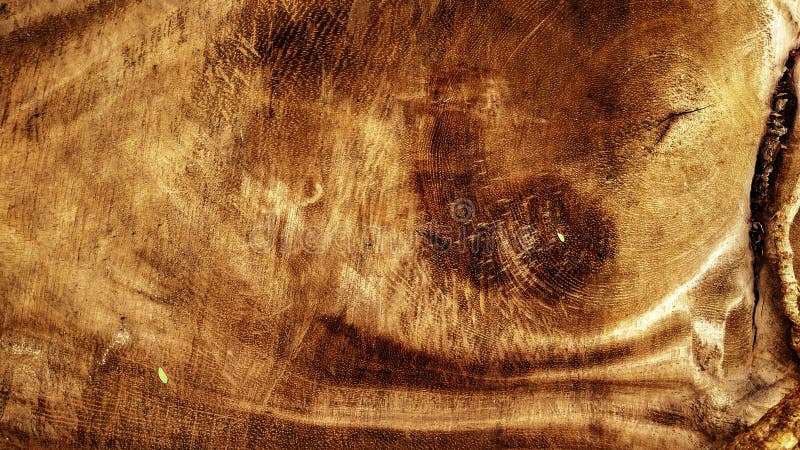 Dark Brown log Texture stock photo. Image of burgundy - 131628528