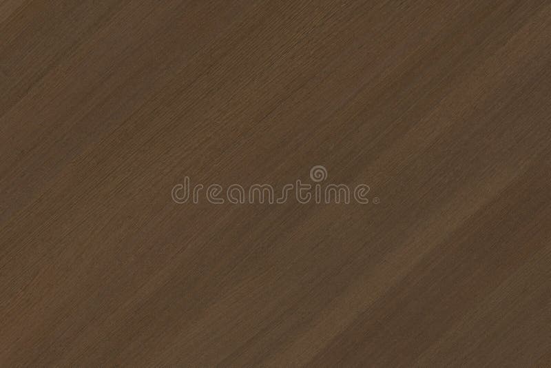 Dark Brown Walnut Timber Tree Wooden Surface Structure Texture ...