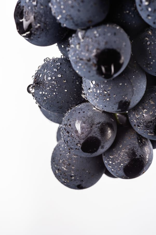 Dark Bunch of Grape in Low Light on White Isolated Background , Macro ...