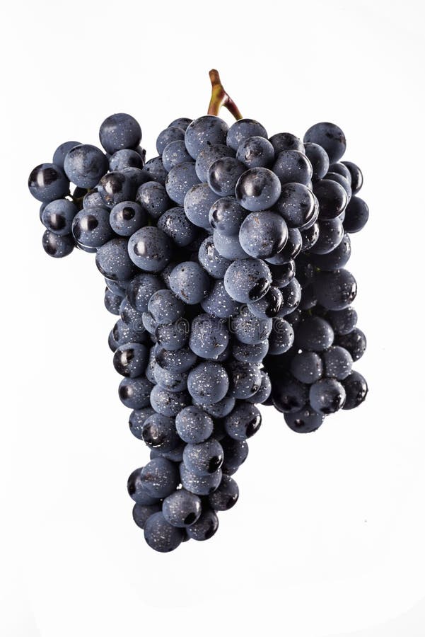 Dark Bunch of Grape in Low Light on White Isolated Background , Macro ...