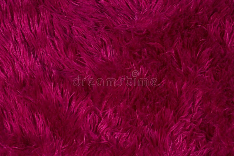Dark burgundy fur texture stock photo. Image of jeans - 254691846