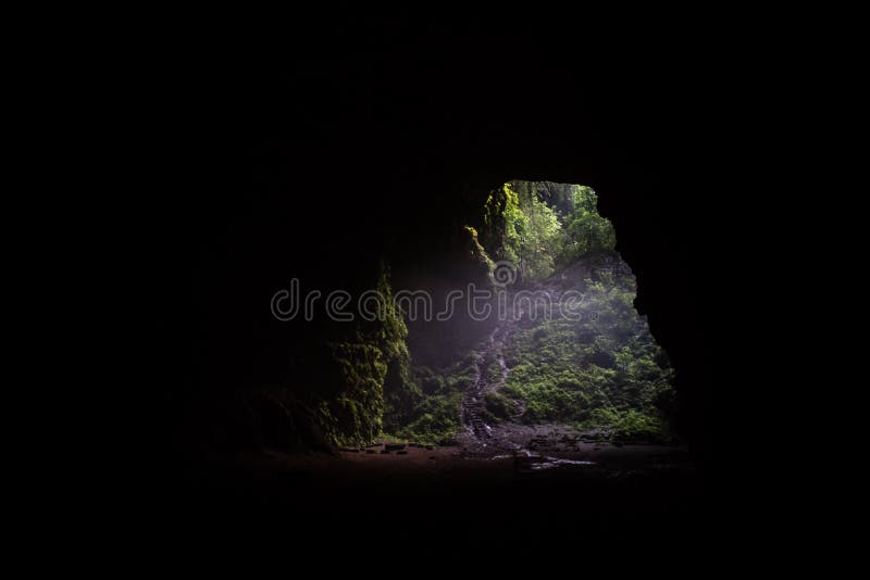 Dark Cave and Jungle in Java, Indonesia Stock Photo - Image of cavern ...