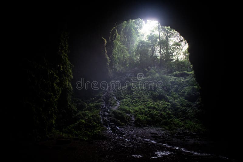 Dark Cave And Jungle In Java, Indonesia Stock Photo - Image of cavern ...