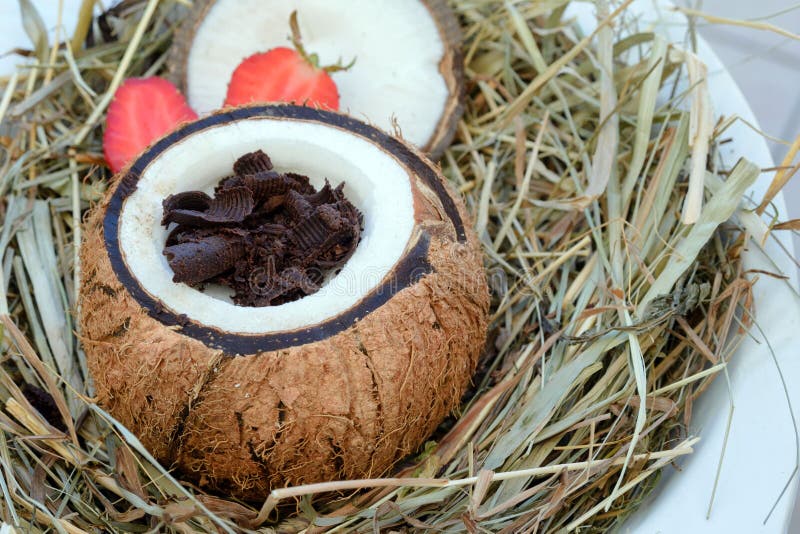 Dark Chocolate Adorns the Panna Cotta in a Coconut Shell. Original ...