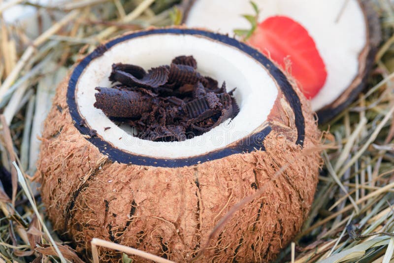Dark Chocolate Adorns the Panna Cotta in a Coconut Shell. Original ...