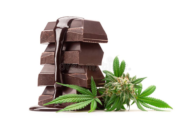 Dark Chocolate Bar Pieces Covered in Melted Chocolate with Marijuana ...