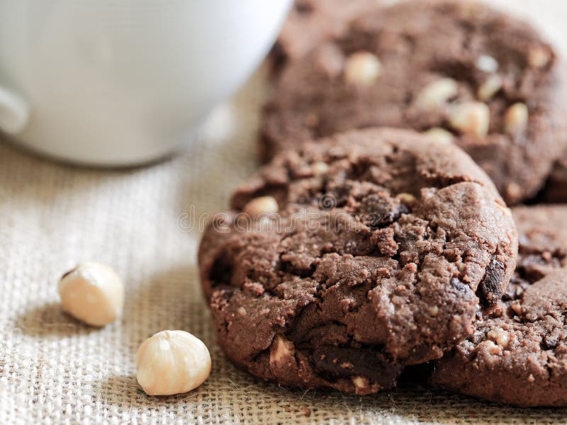 Dark Chocolate & Hazelnut Cookies Stock Photo - Image of hazelnut ...