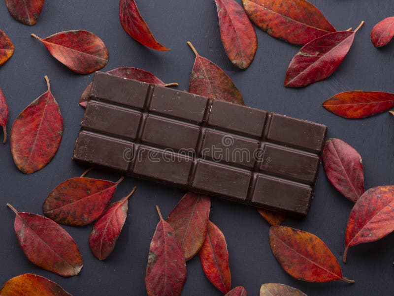 Dark Chocolate on Red Leaves Background Stock Photo - Image of wooden ...