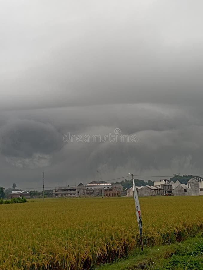 Dark Cloud Above the Rice Field Stock Photo - Image of nature, plain ...