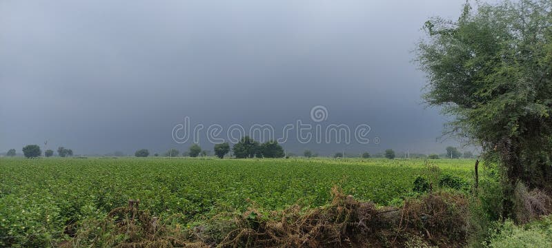 Dark Cloud Weather and Rain Trees Stock Image - Image of trees, dark ...