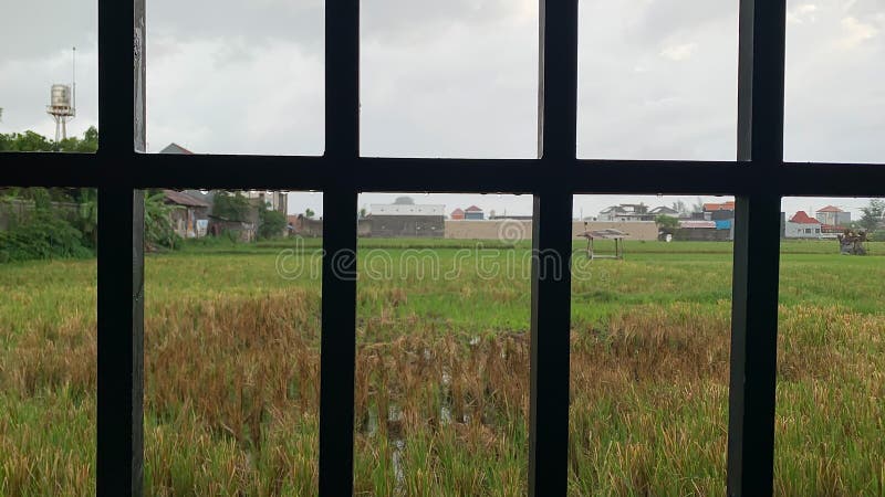 Rain behind the window stock photo. Image of rain, color - 236342516