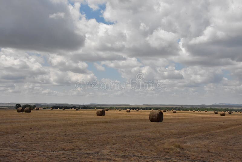 Dark Clouds Over a Field of Baled Hay Stock Photo - Image of cultivated ...