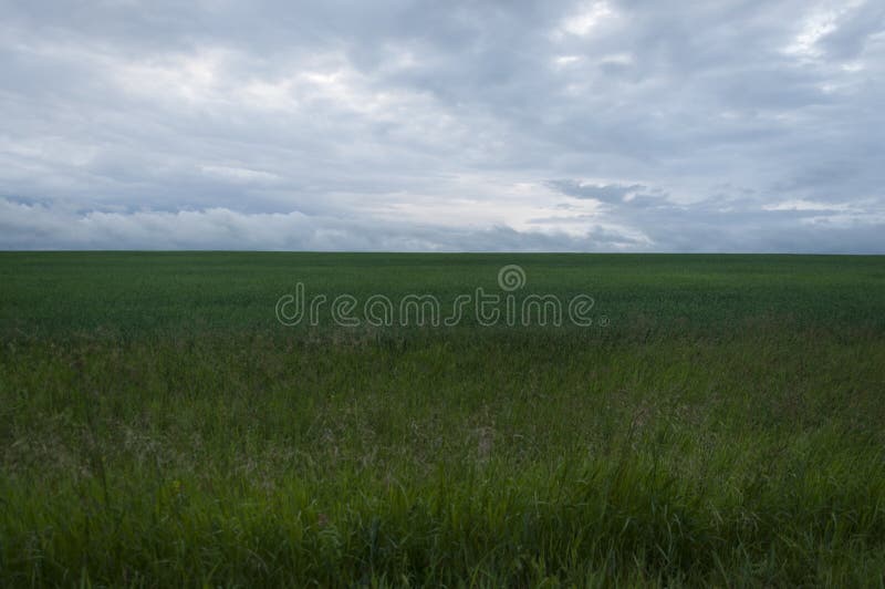Dark Clouds Over Field with Grass Stock Image - Image of land, field ...