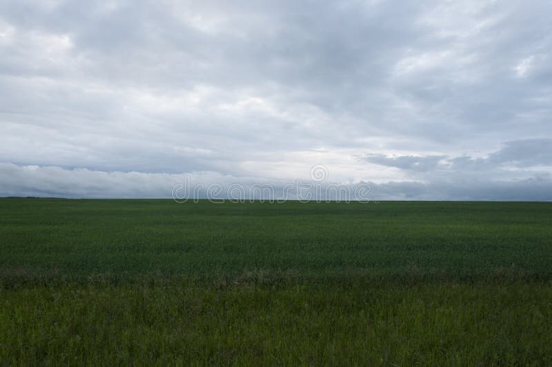 Dark Clouds Over Field with Grass Stock Image - Image of clouds, storm ...