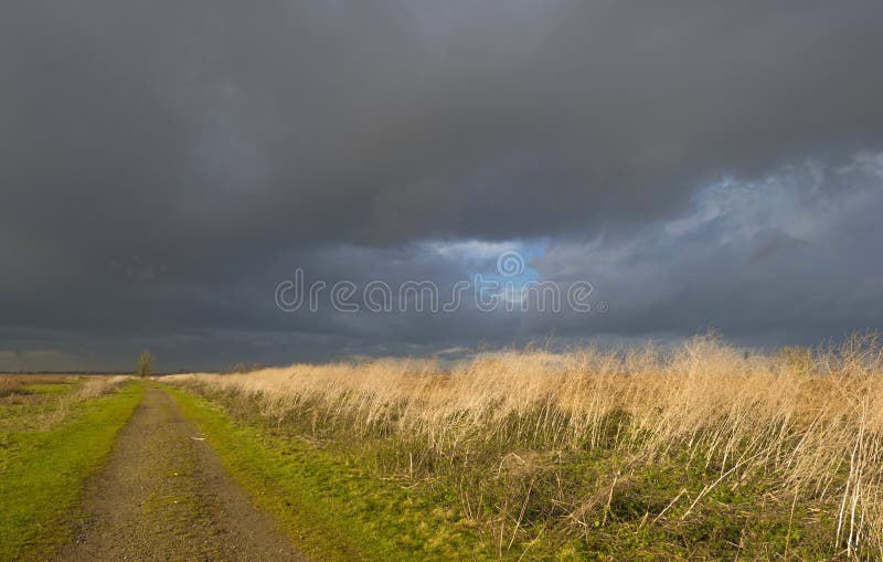 Dark Clouds Over a Field in Sunlight Stock Image - Image of netherlands ...