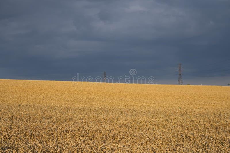 Dark clouds over fields stock photo. Image of agriculture - 282835078