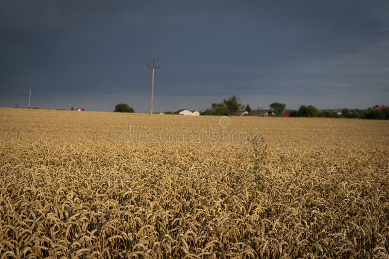 Dark clouds over fields stock image. Image of storm - 282835093