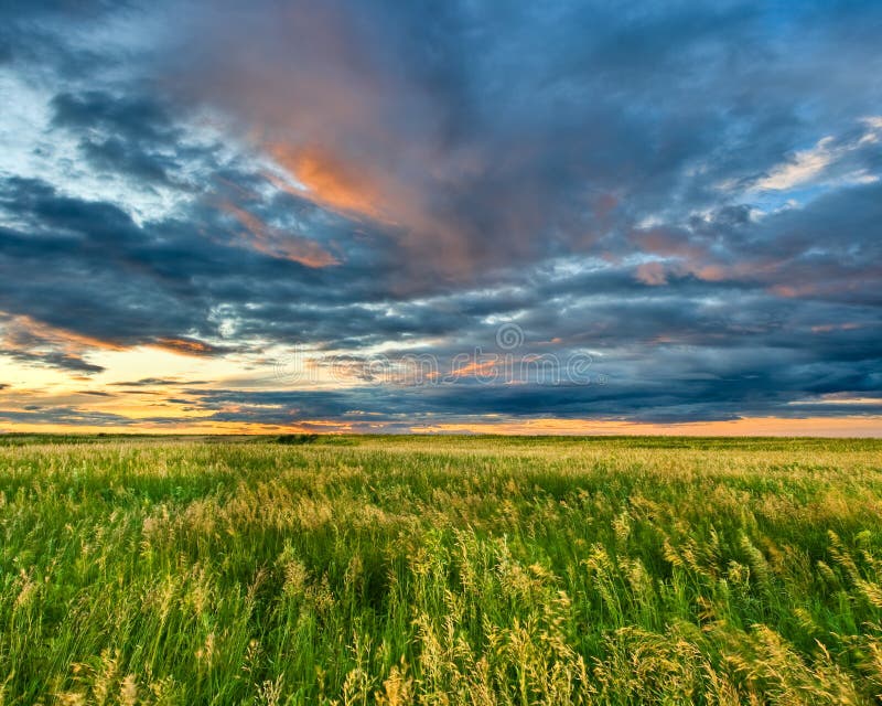 Grass field sunset stock photo. Image of cloud, field - 25648604