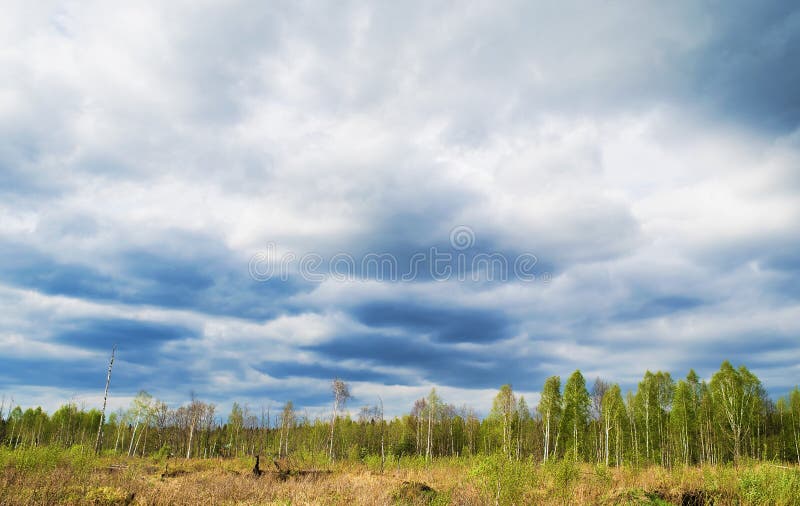 Dark Cloudy Sky Over a Spring Forest Stock Photo - Image of clouds ...