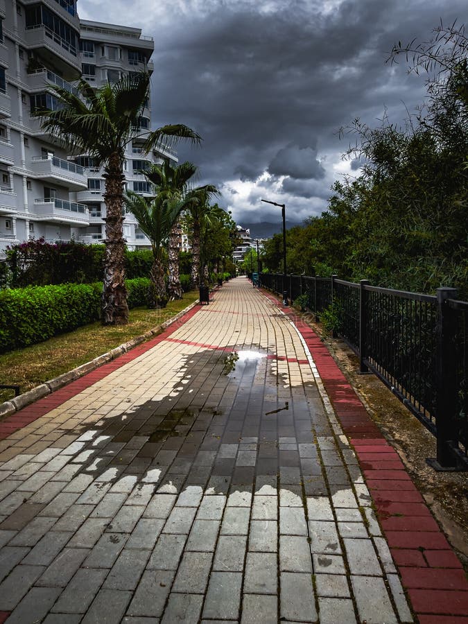 A Dark Cold Path Under a Scenic Sky Stock Image - Image of colourful ...