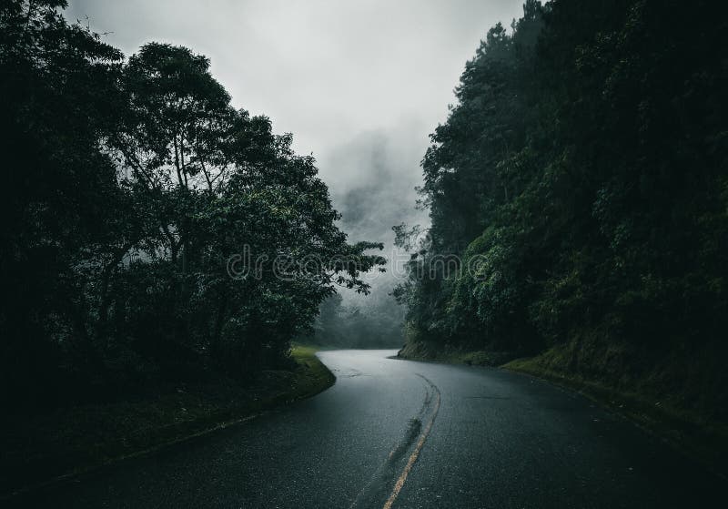Dark Cold Road stock image. Image of forest, grass, sunlight - 249915901