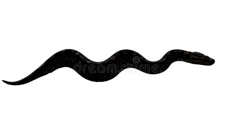 Black Python Silhouette stock illustration. Illustration of moustache - 383364386