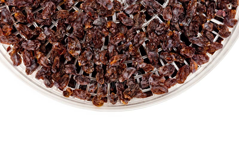 Dark-colored Raisins from Grapes Made in a Special Drying Round Shape ...