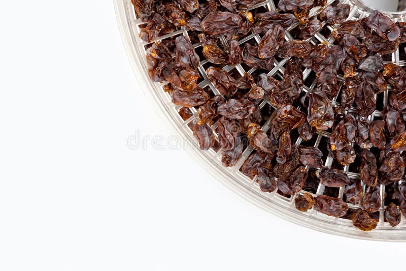 Dark-colored Raisins from Grapes Made in a Special Drying Round Shape ...