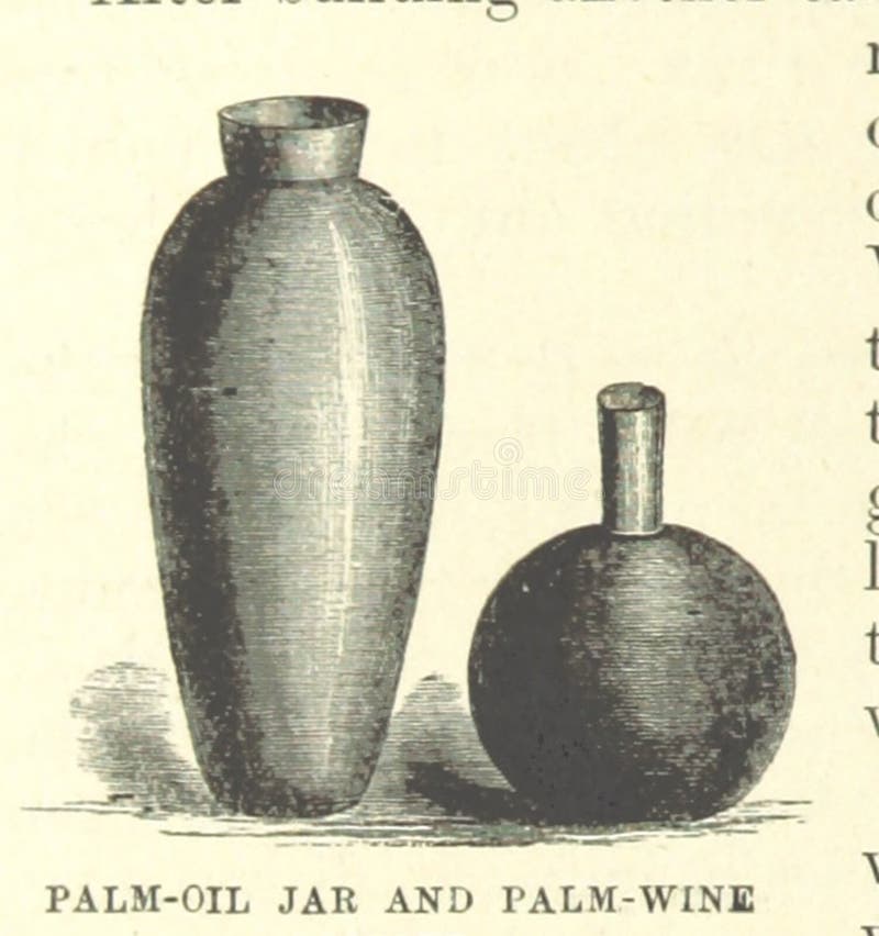 British Library Digitised Image From Page 255 Of "Through The Dark ...