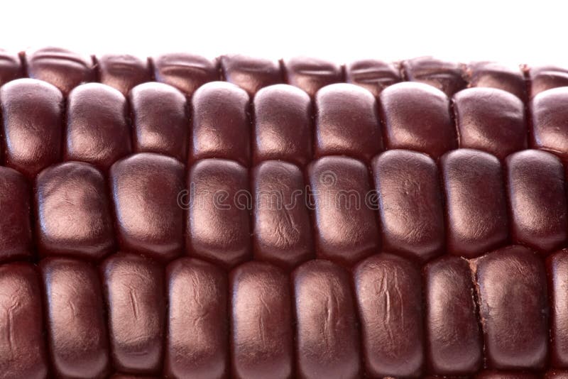 Dark corn stock photo. Image of macro, details, ripened - 5976496